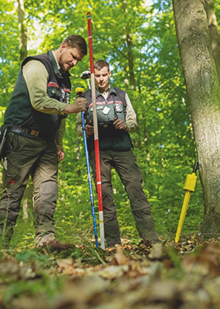 Landesforst MV - Wald-MV